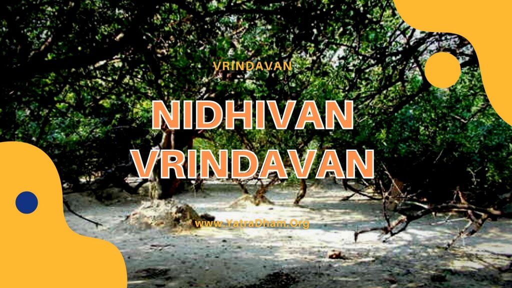 The Divine Nidhivan Vrindavan of Shri Krishna and Radha Rani