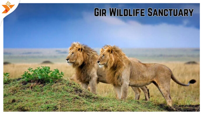 15- Day Gujarat Tour Itinerary - Explore Heritage, Nature and More